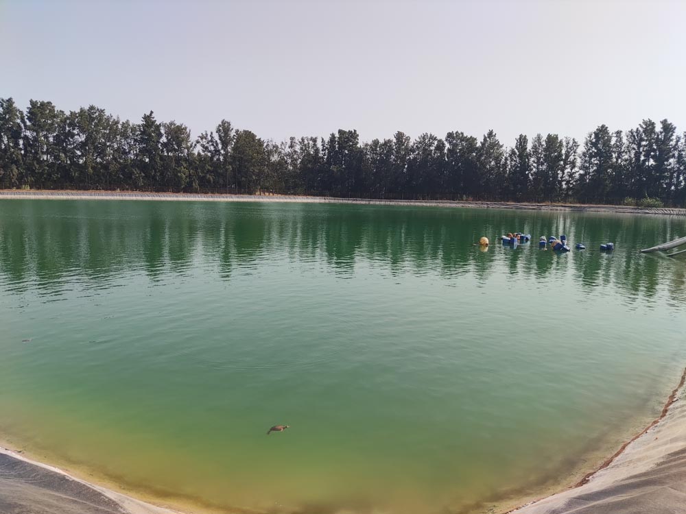 Pulizia lago artificiale per irrigazione - Idee e Prodotti